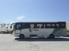 Vagos. Autocarros gratuitos asseguram ligação às praias do Areão ...